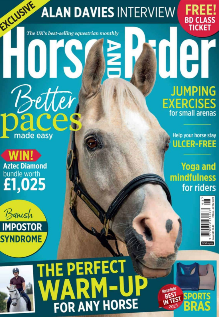 10 Must-Read Magazines for Horse Lovers - Bay Area Equestrian Network