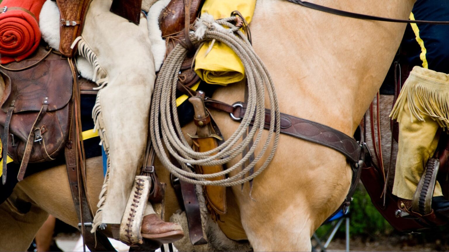 What Are Chaps Used For? Uses, Benefits, and Varieties - Bay Area ...