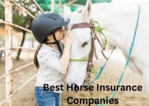 7 Best Horse Insurance Companies in 2025