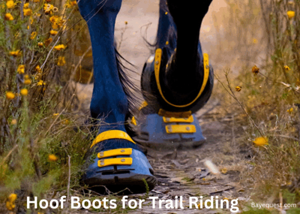 7 Best Hoof Boots for Trail Riding (May 2026 Review)