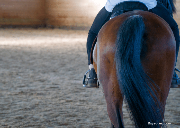 Horse Tail Without Hair: Is It Natural?