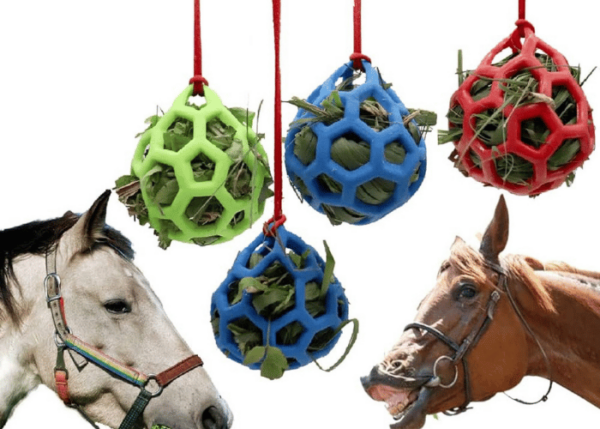 13 Best Boredom Busters for Horses in 2026:Toys & Activities