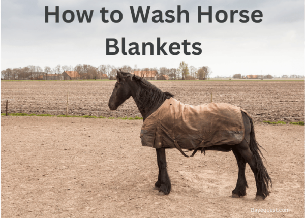 How to Wash Horse Blankets:3 Ways of Cleaning Horse Blankets
