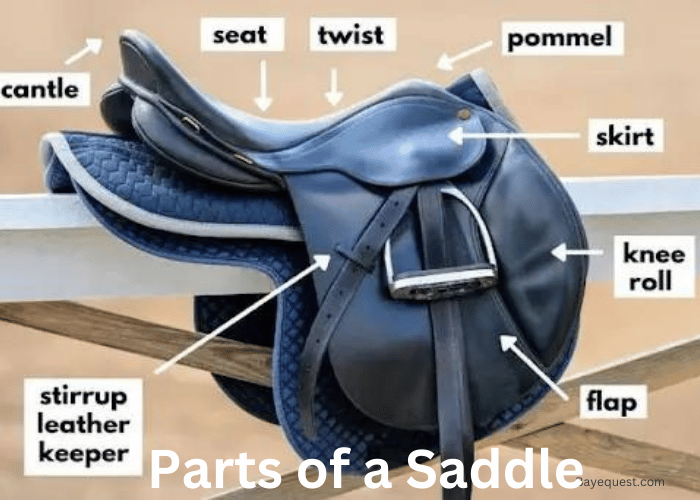 Parts of a Saddle: A Guide to Parts and Key Functions