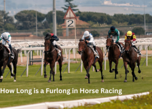 How Long is a Furlong in Horse Racing? Feets, Yards, Miles