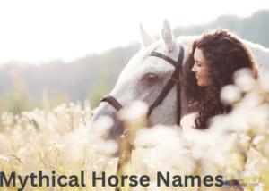 150 Mythical Horse Names With Meanings
