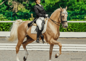 21 Amazing and Unusually Rare Horse Colors in the World