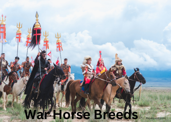 19 Top War Horse Breeds and Their History With Pictures