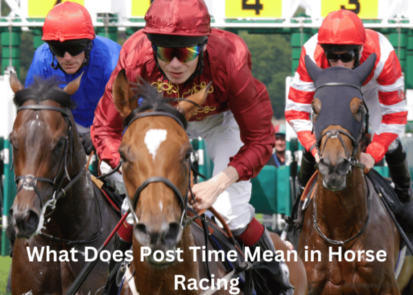 What Does Post Time Mean in Horse Racing? Find Out Now