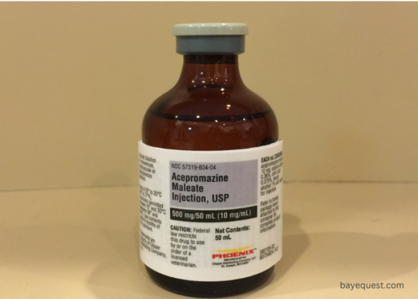 Ace for Horses: Acepromazine Drug for Safe Sedation