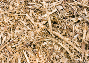 Beet Pulp for Horses: Feeding Benefits, Pros, Cons and Risks