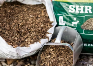 Beet Pulp for Horses: Feeding Benefits, Pros, Cons and Risks