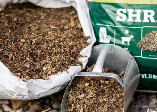 Beet Pulp for Horses: Feeding Benefits, Pros, Cons and Risks