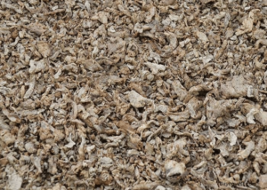 Beet Pulp for Horses: Feeding Benefits, Pros, Cons and Risks