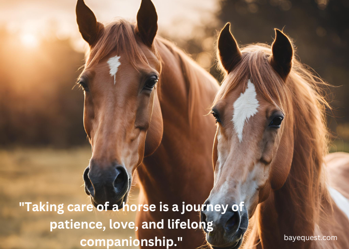 92 Meaningful Inspirational Horse Quotes