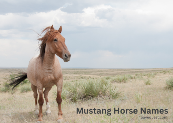 Mustang Horse Names: 320+ Unique and Meaningful Names