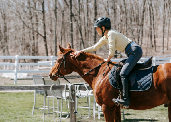 What is a Grade Horse? Characteristics, Health and Nutrition