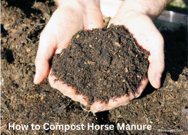 How to Compost Horse Manure: (10 Easy Steps to Healthy Soil)