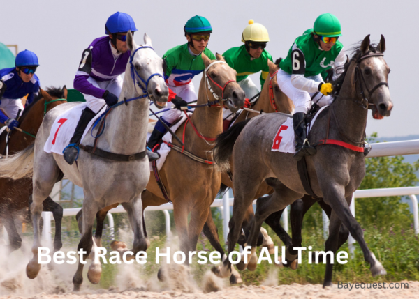13 Best Race Horse of All Time: Greatest of All Time Horses