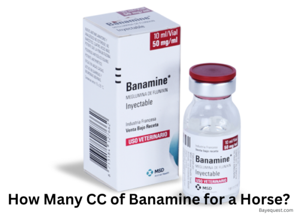 How Many CC of Banamine for a Horse? Proper Dosage Guide