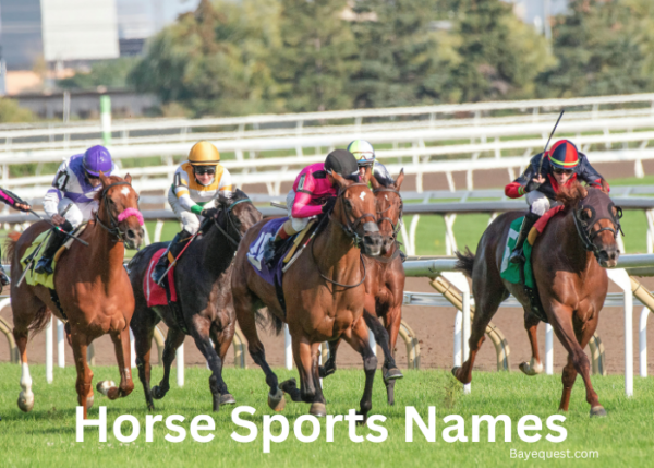 22 Exciting Horse Sports Names/ Equestrian Sports List