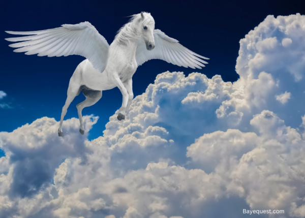 Symbolism of Horses: Strength, Freedom and Spirituality