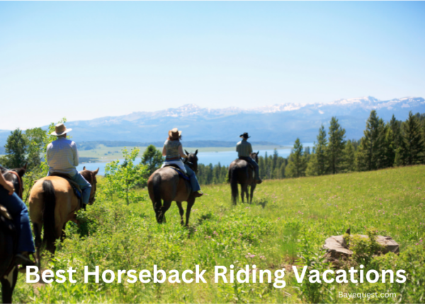 12 Best Horseback Riding Vacations Around the World