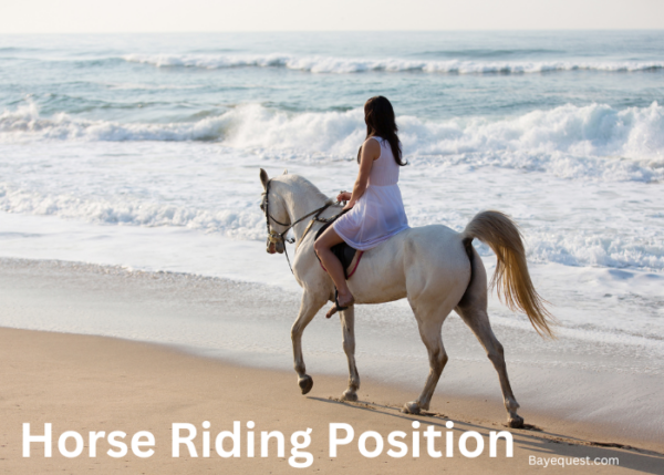 Horse Riding Position: 8 Key Elements and Best Exercises