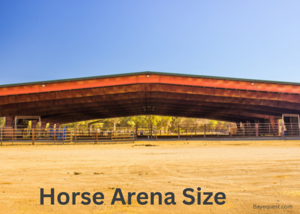 Horse Arena Size: 8 Considerations for Horse Arena Design
