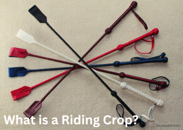 What is a Riding Crop and How to Use it Effectively