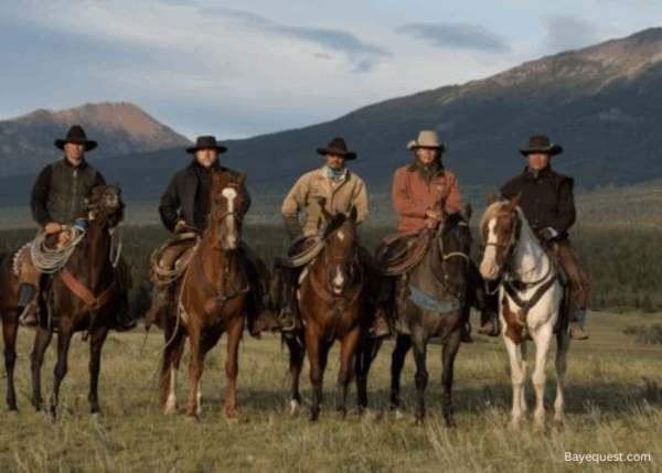 25 Best Horse TV Shows for All Horse Lovers.