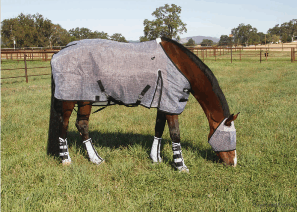 13 Best Fly Sheets for Horses for December 2025