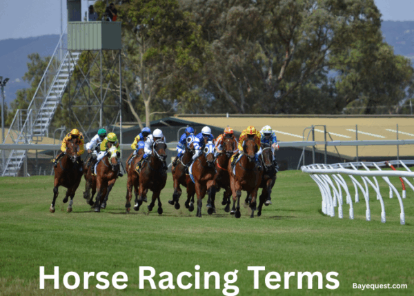 Horse Racing Terms With Simple Explanations and Examples