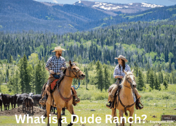 What is a Dude Ranch? A Beginner's Guide to Ranch Vacations