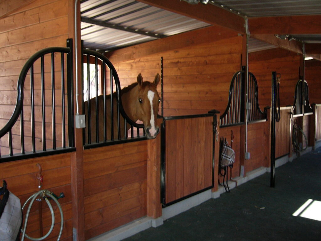 Valley View Ranch - Bay Area Equestrian Network